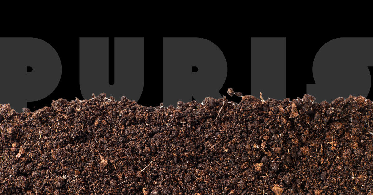 You're All Set | Low Sodium Webinar